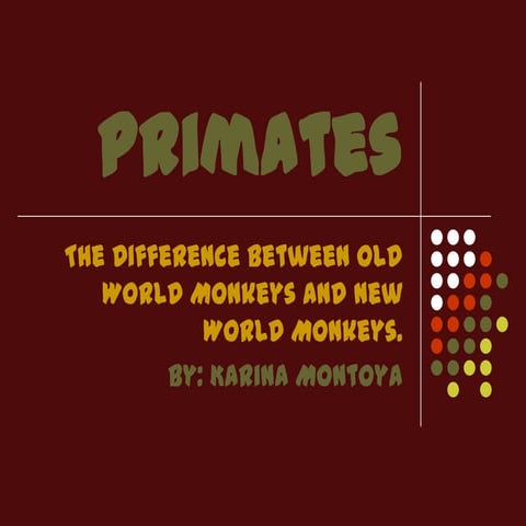 Primates | PPTX