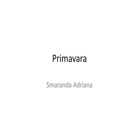 Primavara | PPT