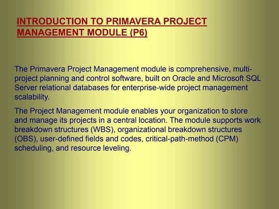 Primavera P6 Notes for Beginners | PDF