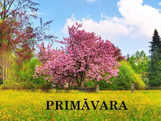 Primavara Ppt Ppt