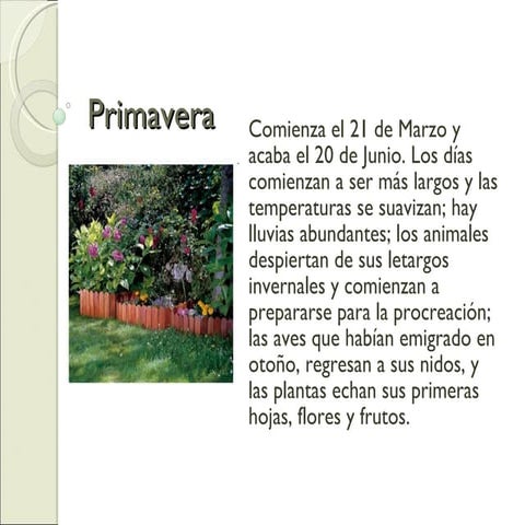 Primavera | PPT