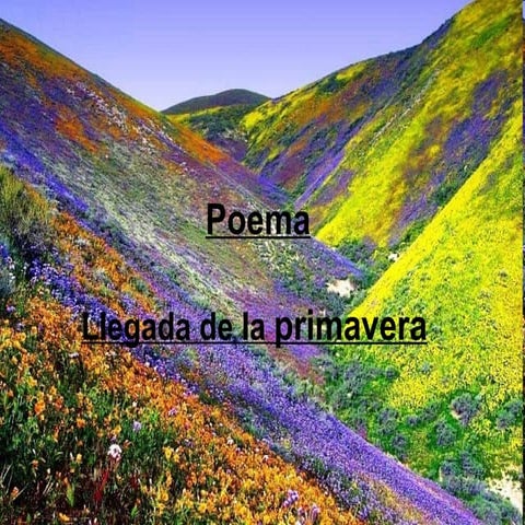 Power point primaveraa | PPT