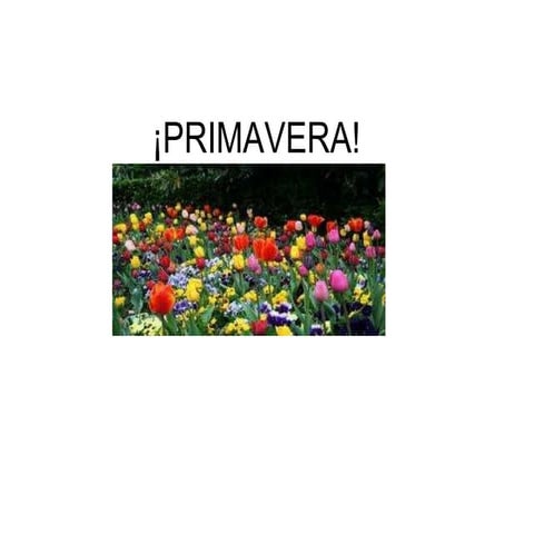 Primavera | PPT