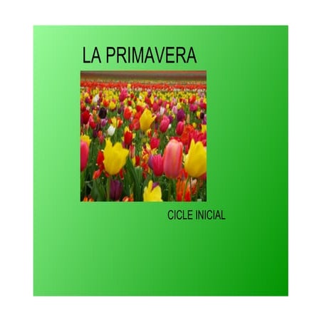 Primavera | PDF