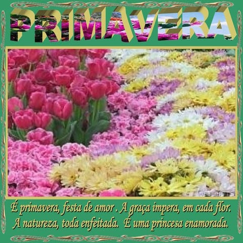 é Primavera. Jr Cordeiro. | PPS