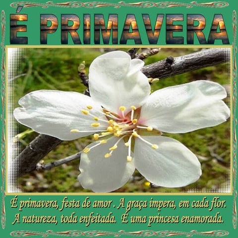 é Primavera. Jr Cordeiro. | PPS