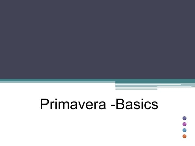 Primavera P6 Notes for Beginners | PDF