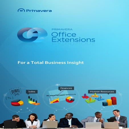 PRIMAVERA Office Extensions - Whitepaper (EN).pdf
