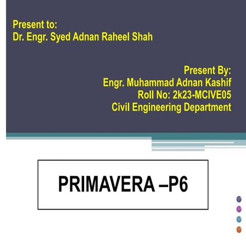 PRIMAVERA P6 FINAL.pptx