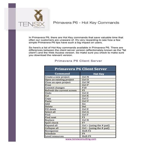 Primavera P6 Hot Keys | PDF