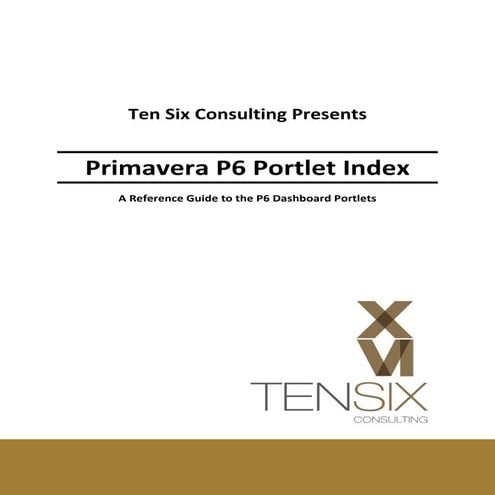 Primavera P6 Reports Tab Samples | PDF