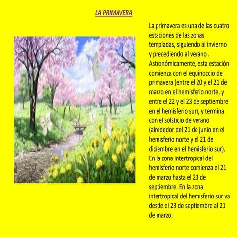 Primavera pp | PPTX
