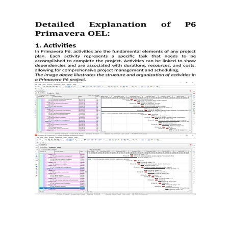 Primavera P6 Notes for Beginners | PDF