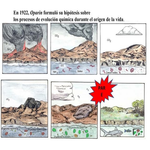 Primeras Celulas eucariotas LUCA | PPT