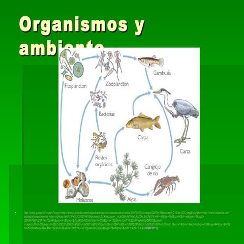 Unidad I: Organismos y Ambientes | PPT