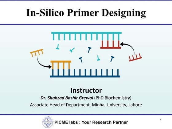 How to design a DNA primer on NCBI.pptx | Genetics | Science