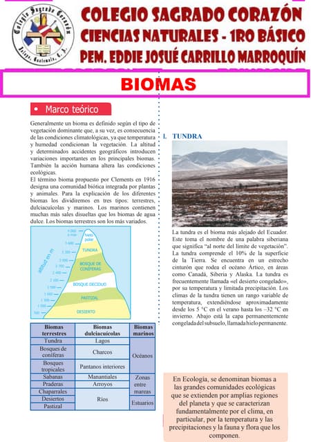 Hoja De Trabajo Sobre Los Biomas Del Mundo Biomas Para Primero De