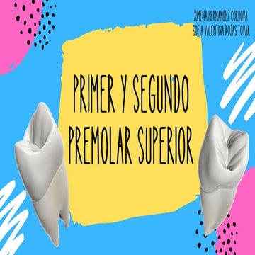 Odontologia: Anatomía dental Premolares Superiores | PPT