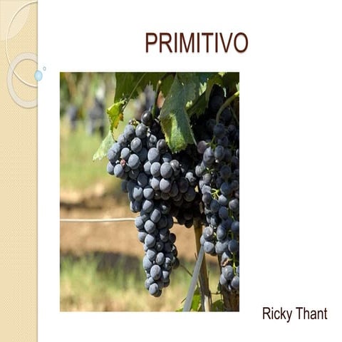 PRIMITIVO.pptx