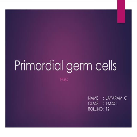 Primordial germ cells pdf | PPT