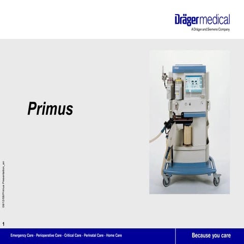 Primus | PPT