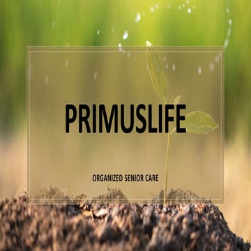 Primus life | PPT