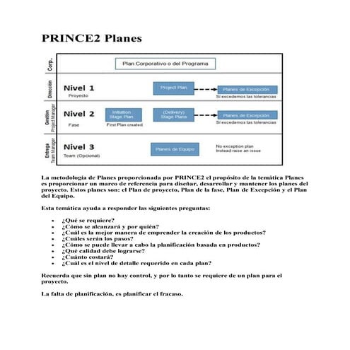 Prince2 planes | PDF