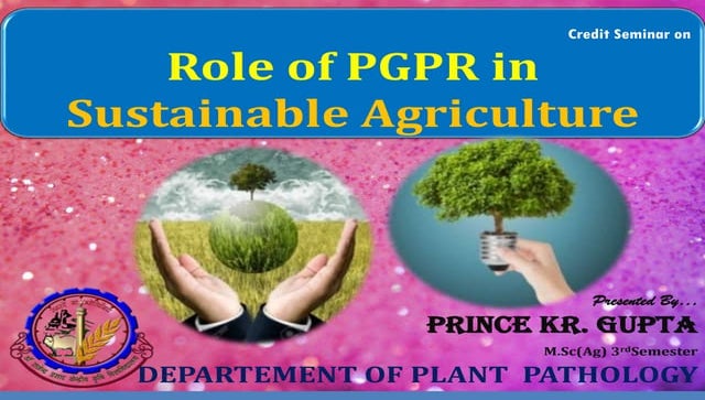 role of pgpr in plant development | PPT