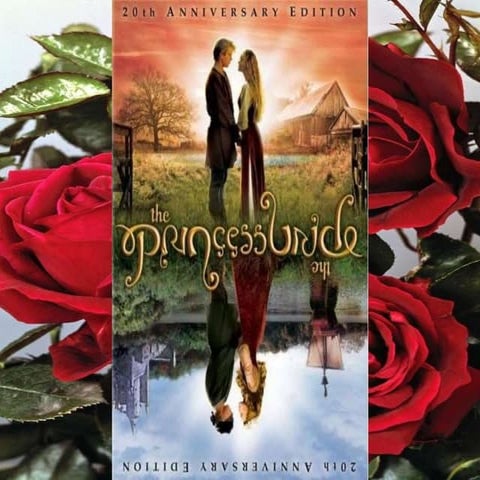 Princess Bride | PPT