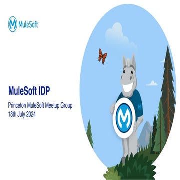 Princeton MuleSoft - Meetup MuleSoft IDP | PPT