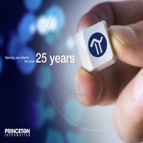 Princeton Corporate Presentation | PDF