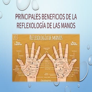 Mapa de las manos | PDF