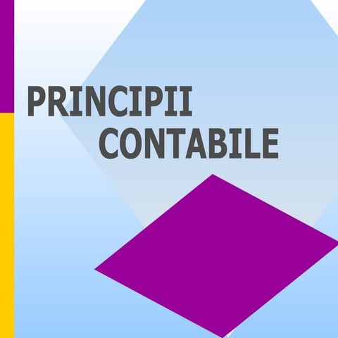 Principii contabile | PPT