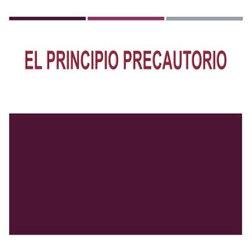 Principio precautorio | PPTX