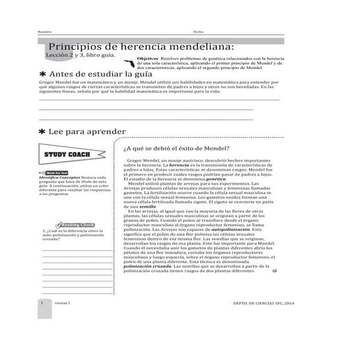 Principios de herencia mendeliana | PDF