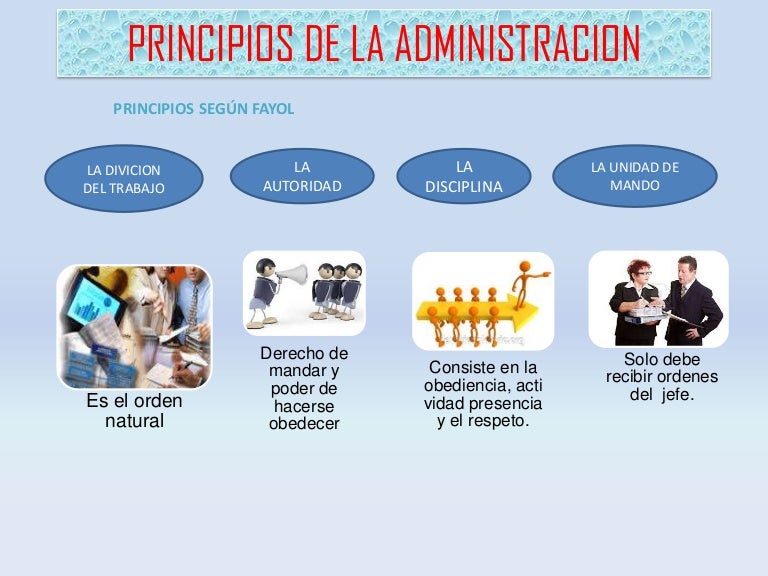 Resumen Principios De La Administracion Principios Y Estructura De La