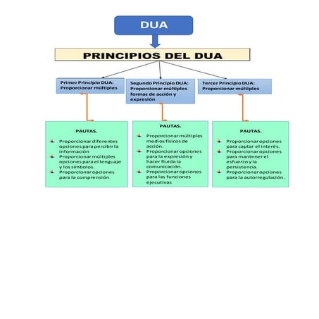 PRINCIPIOS DEL UDA.docx
