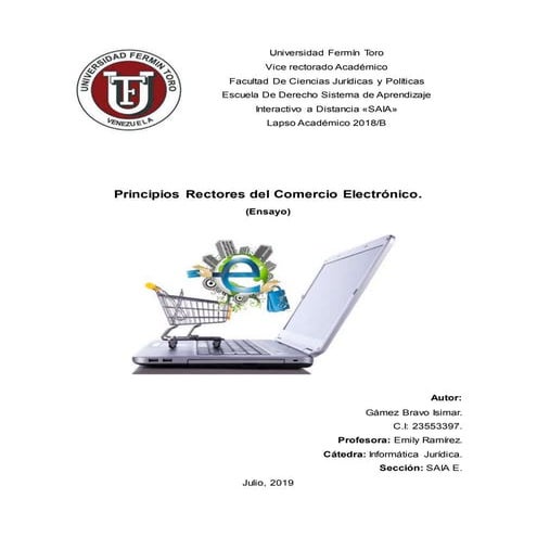 Principios rectores del comercio electronico.pdf