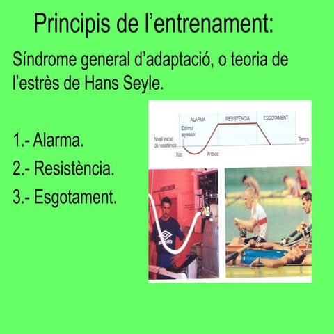 principis entrenament | PPT