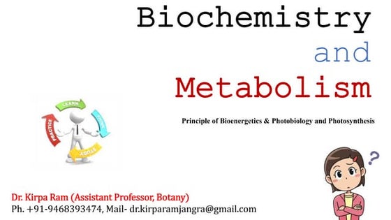 Thermodynamics | PPT | Chemistry | Science