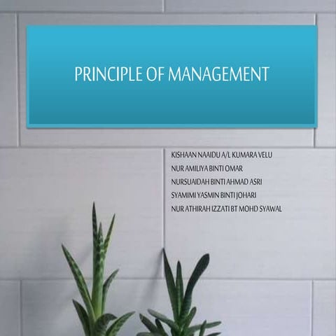 Principle of management | PPTX