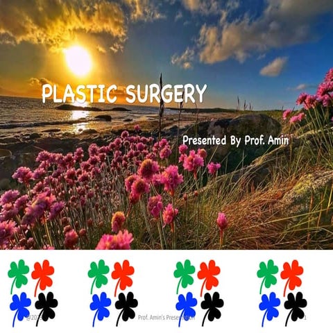 Principle of Plastic Surgery, plastic surgery notes | PDF