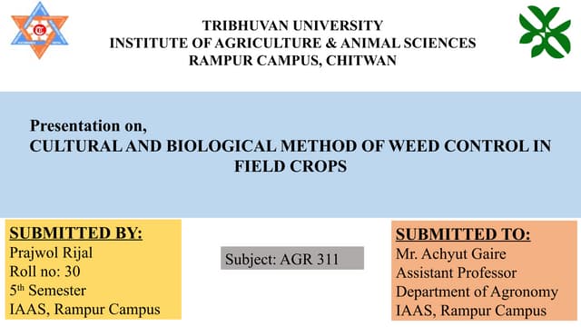 Practice weeding and cultivation | PPTX | Agriculture | Industries