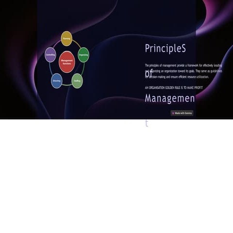 Principles-of-Management presentation (2) (1).pptx