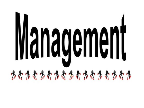 Principles of Management | PPTX
