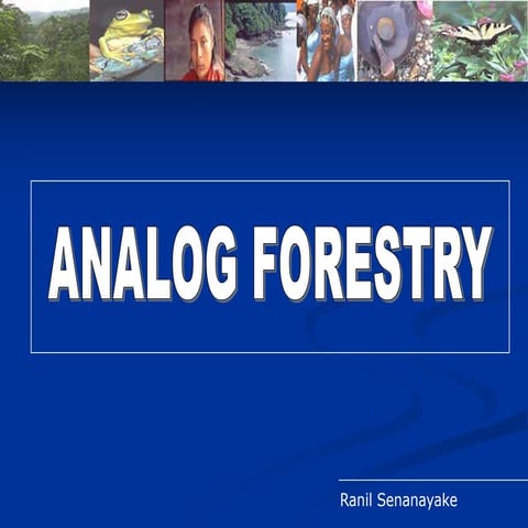 Principles of Analog Forestry | PPT