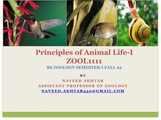 Introduction & branches of zoology | PPT