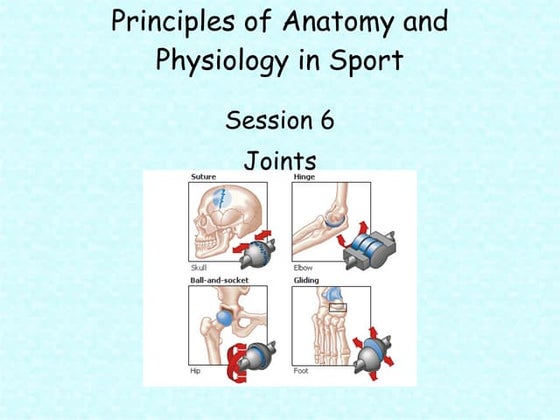 Lesson 2 tendons, ligaments, cartilage and joints | PPTX