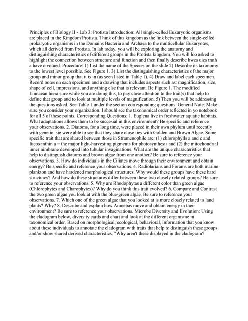 Prepare a classified balance sheet in good form as of December 31- 202.docx
