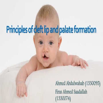 Principles of cleft lip and palate formation | PPTX
